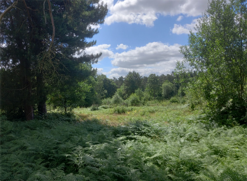 Land management | Hertfordshire County Council